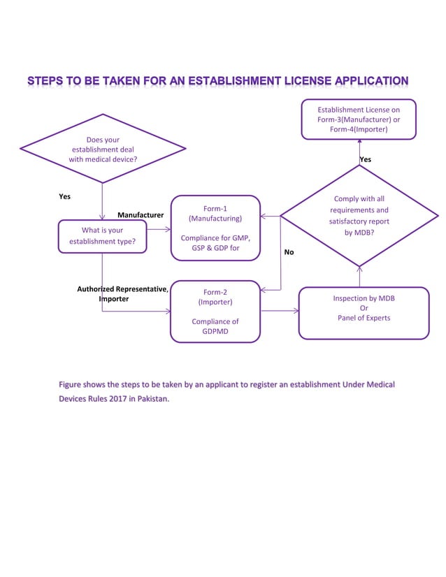 Medical Device Establishment licence process | PDF