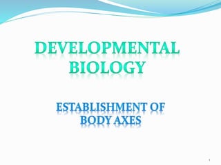 Establishment of axis in animals | PPTX