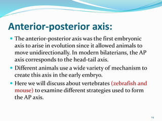 Establishment of axis in animals | PPTX