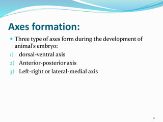 Establishment of axis in animals | PPTX