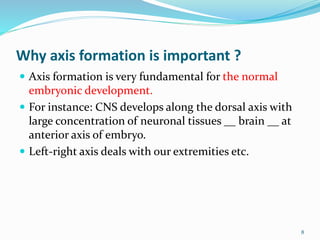 Establishment of axis in animals | PPTX