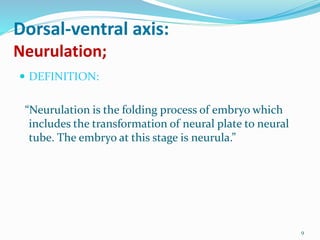 Establishment of axis in animals | PPTX