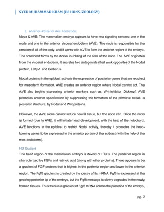 Establishment of Body Axis in Humans | PDF