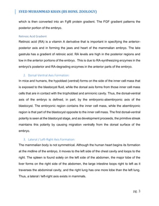 Establishment of Body Axis in Humans | PDF