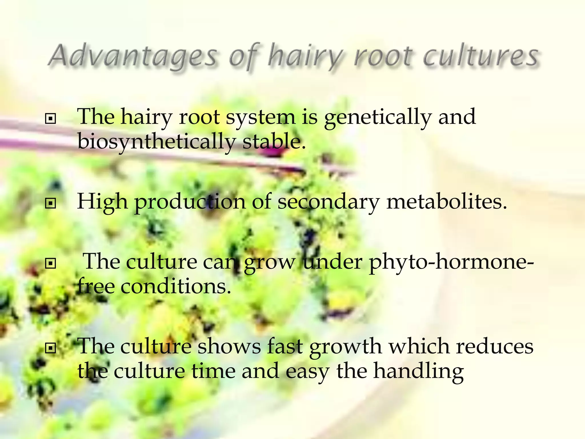 Establishment of hairy root culture with genetic transformation | PPTX