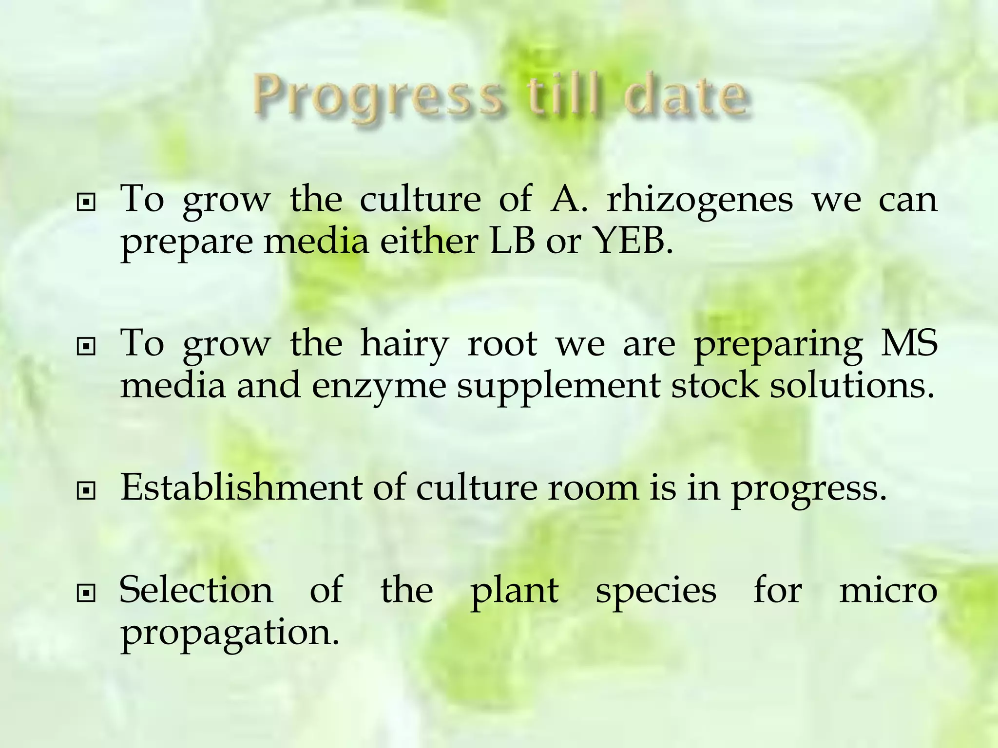 Establishment of hairy root culture with genetic transformation | PPTX
