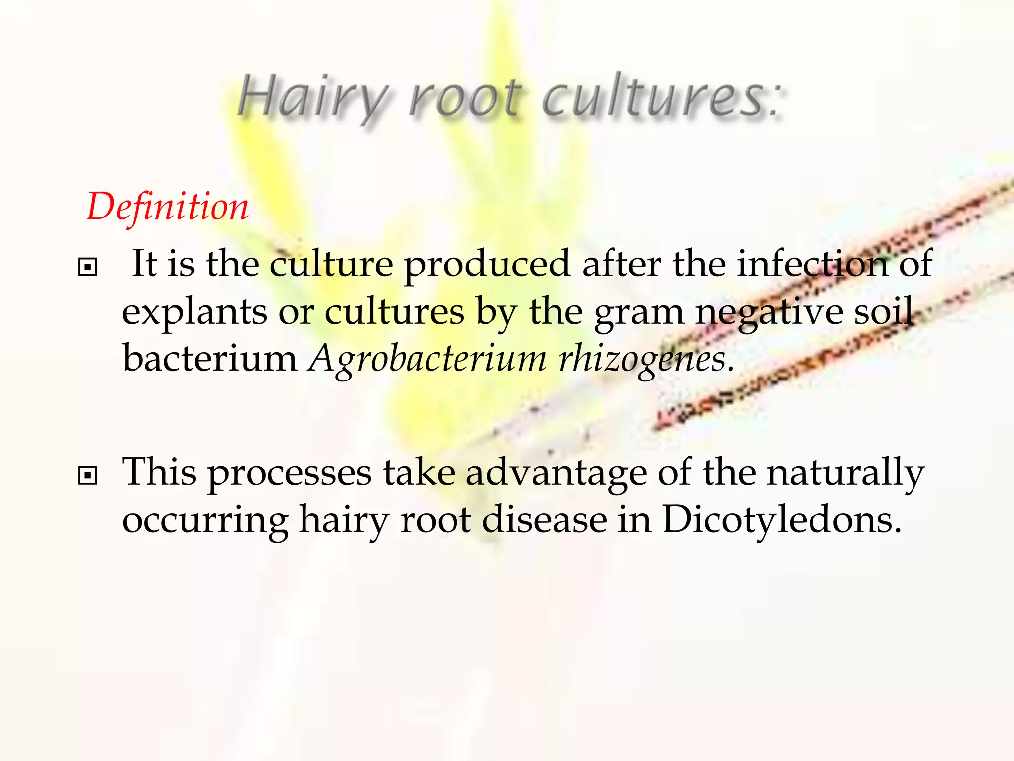 Establishment of hairy root culture with genetic transformation | PPTX