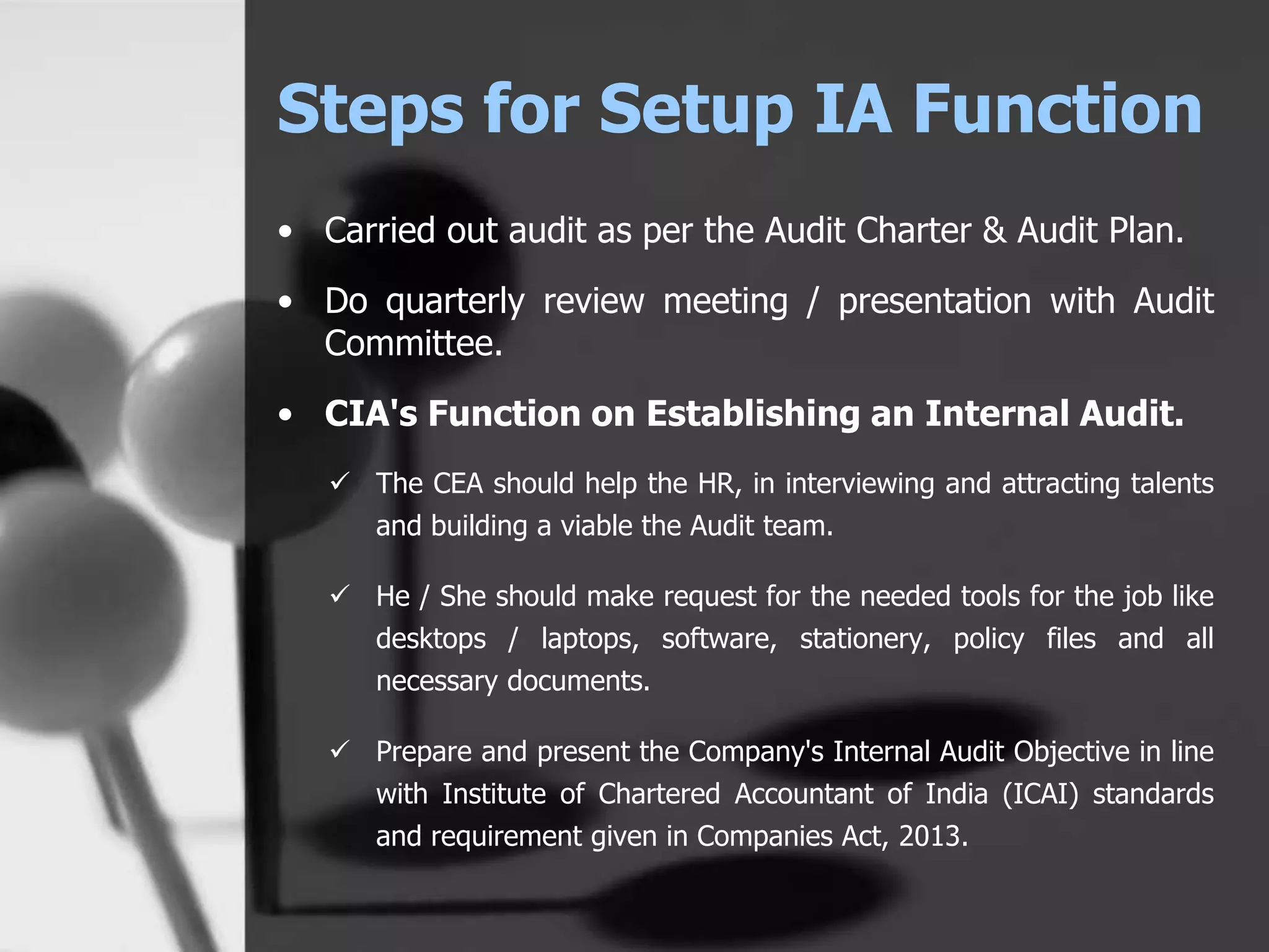 Steps for setting up Internal Audit Function / Department in Small ...