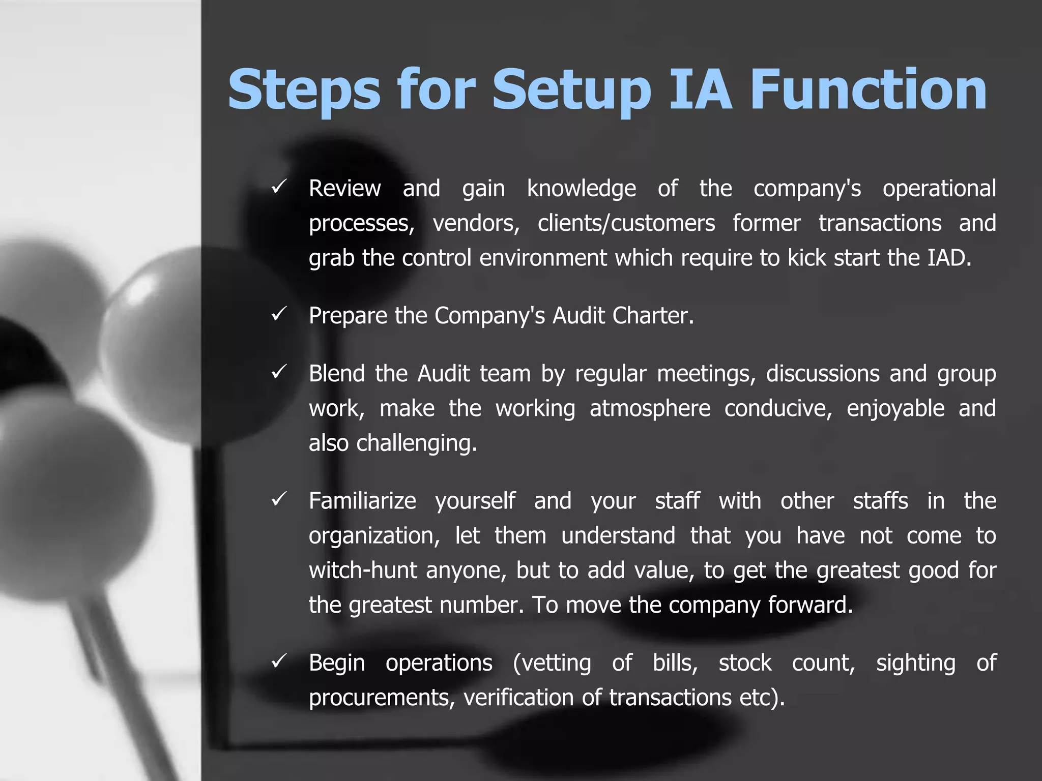 Steps for setting up Internal Audit Function / Department in Small ...