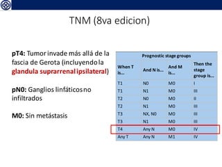 estadificacion TNM.pptx