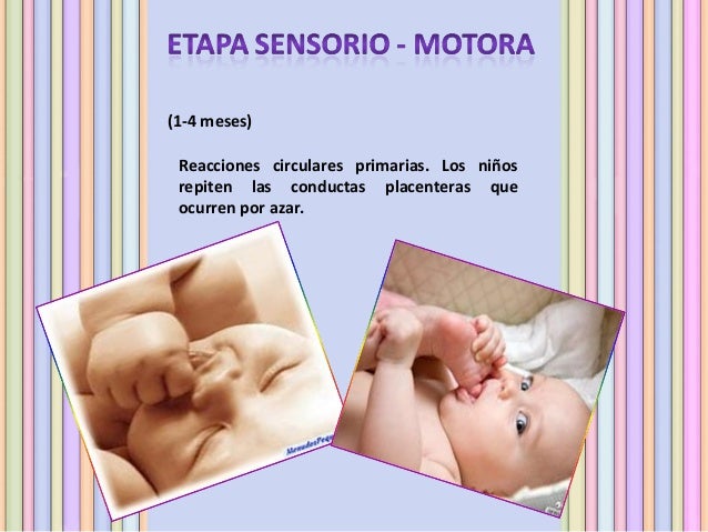 etapa 1 sensorio motora según jaén piaget