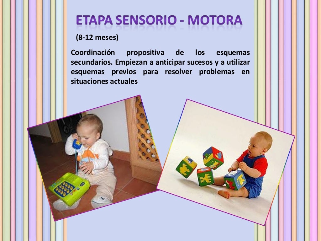 etapa 1 sensorio motora según jaén piaget