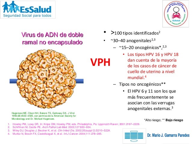 VPH: Estado Actual - Dr. Mario J. Gamarra Paredes