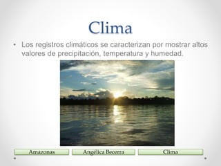 Estado amazonas | PPTX
