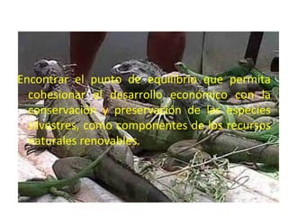 Estado de la zoocría en ciclo cerrado | PPT