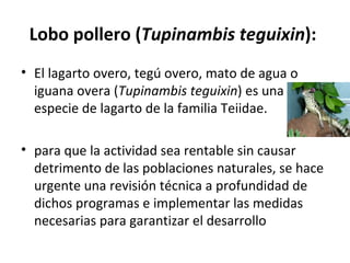 Estado de la zoocría en ciclo cerrado | PPT