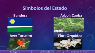 Estado portuguesa | PPTX