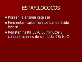 Estafilococos | PDF