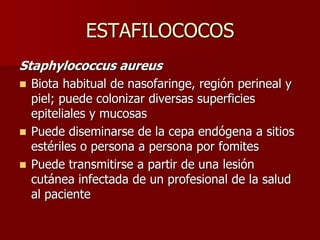 Estafilococos | PDF