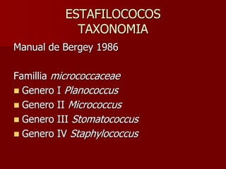 Estafilococos