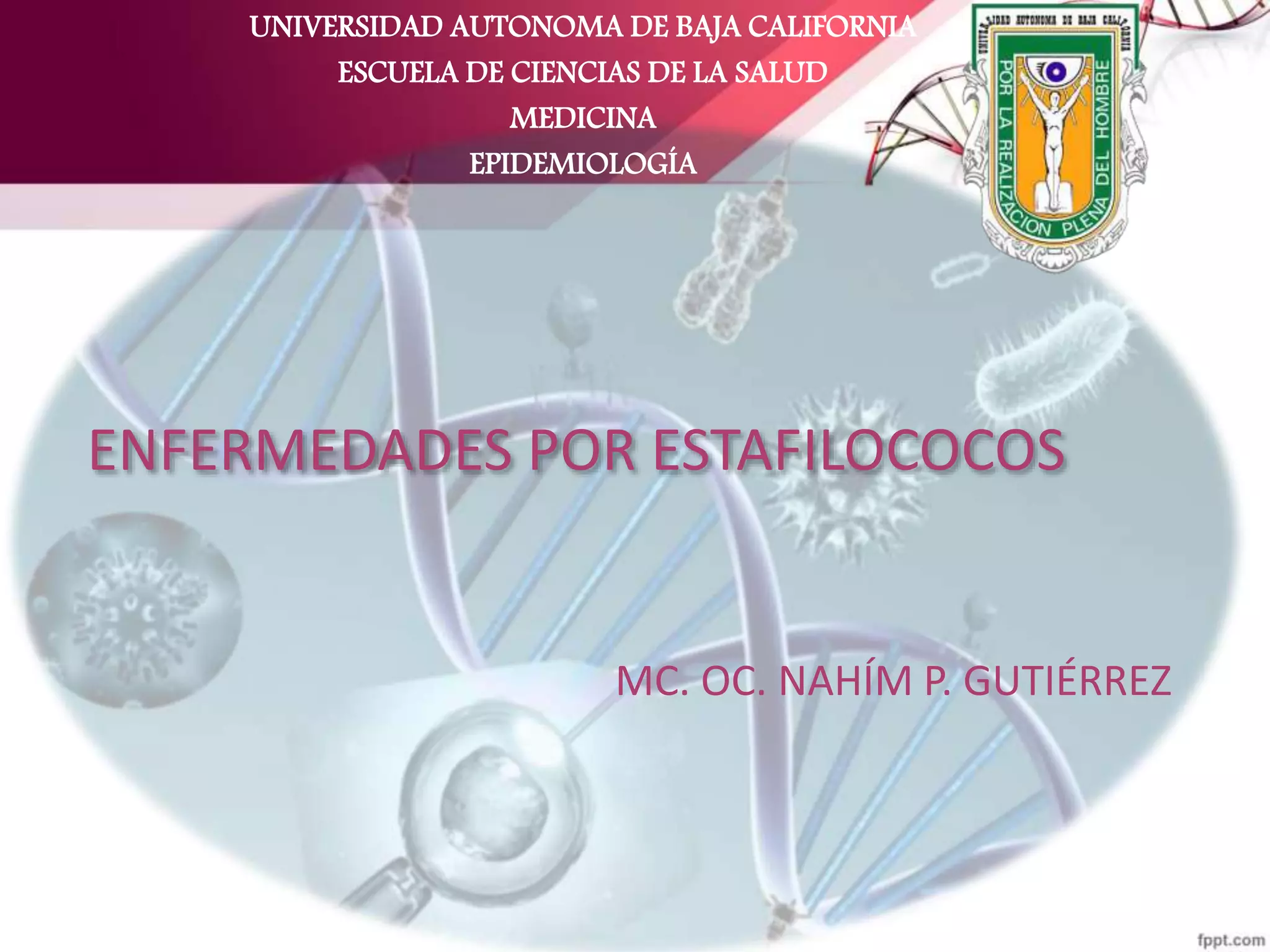 Estafilococos | PPTX
