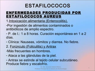 Estafilococos | PPT