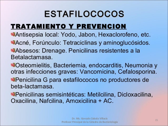 Estafilococos