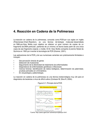 Estandarización de la técnica de PCR HELICOBACTER.pdf