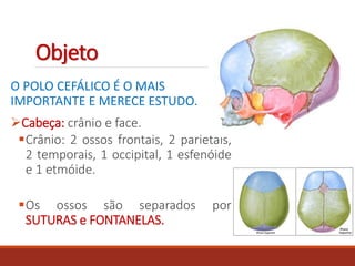 Estatica fetal enfermagem curso PDF. Curso enfermagem | PDF