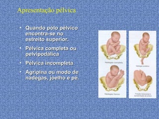 Estatica fetal e relações útero fetais | PPT