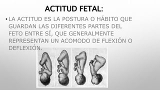 ESTATICA FETAL, MANIOBRAS DE LEOPOLD y movimientos.pptx