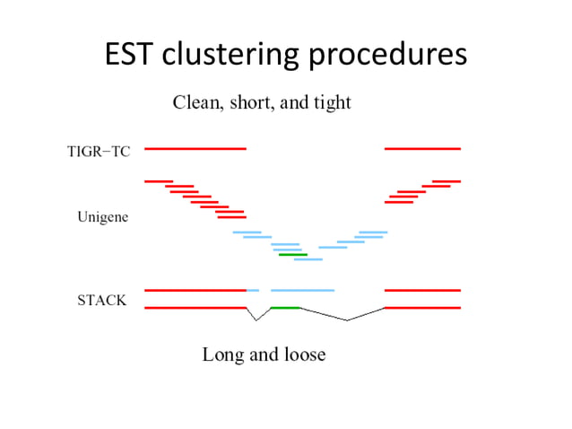EST Clustering.ppt | Biological Sciences | Science