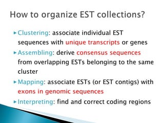 Est database | PPT