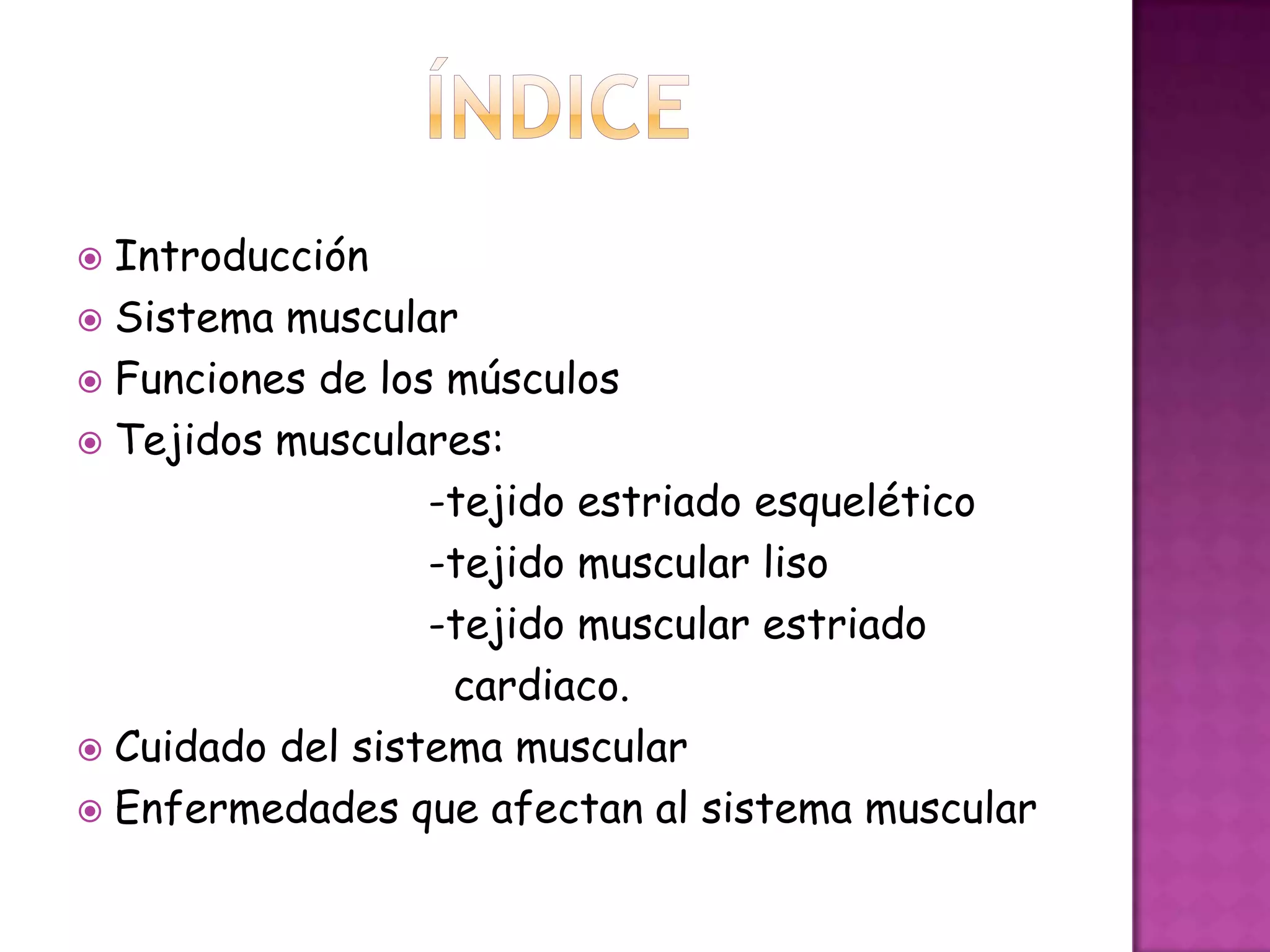 Este anatomía del sistema muscular humano rosi y ale bio 1ºa ct | PPT