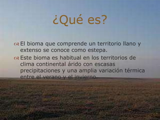 Estepa | PPTX