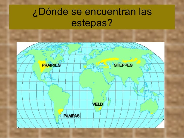 mapa de México que contenga selva, sábana, desierto, bosque templado y ...