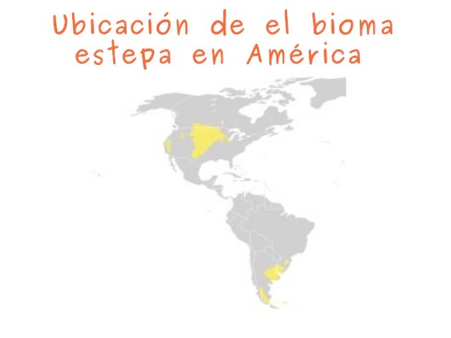 Bioma Estepa