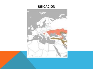 Estepas y sus características principales | PPTX