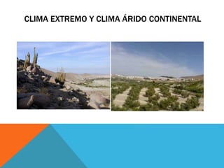 Estepas y sus características principales | PPTX