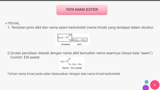 ESTER.pptx