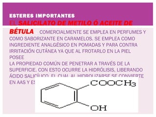 Esteres | PPT