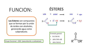 Esteres por Josselyn Caizaluisa | PPTX