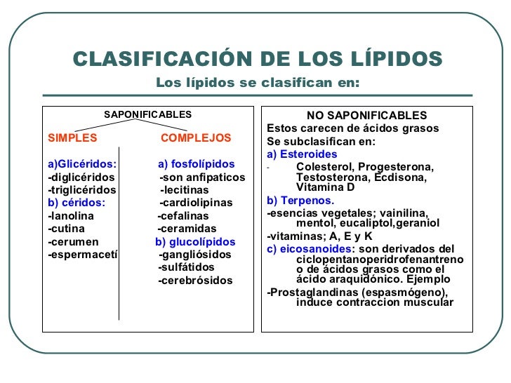 CLASE 3 LA ULTIMA PARTE DE LÍPIDOS CLASE 3 LA ULTIMA PARTE DE LÍPIDOS