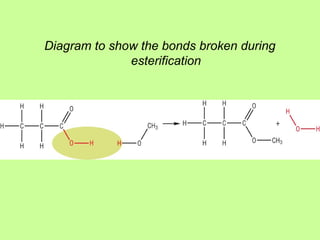 Esterification | PPT