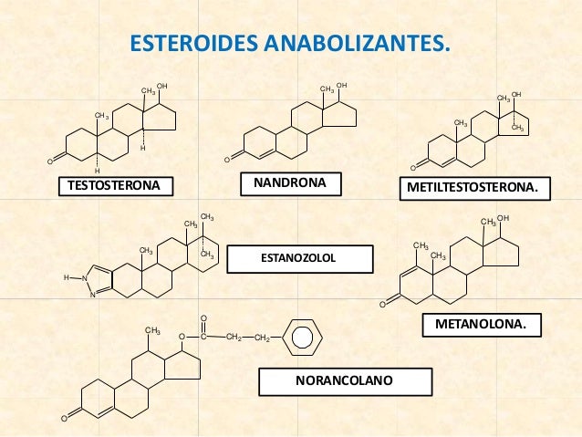 Esteroides