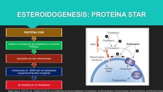 ESTEROIDOGENESIS.pptx