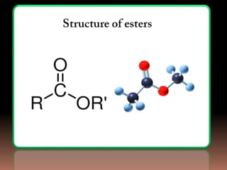 Esters | PPTX