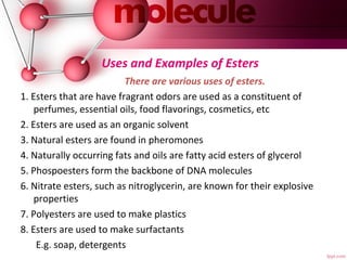Esters | PPT