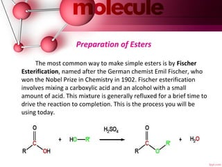 Esters | PPT