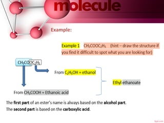Ester Functional Group Examples